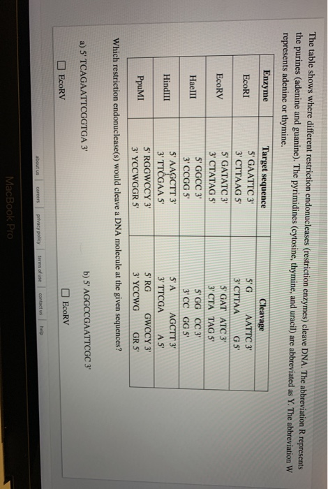 Solved The table shows where different restriction | Chegg.com