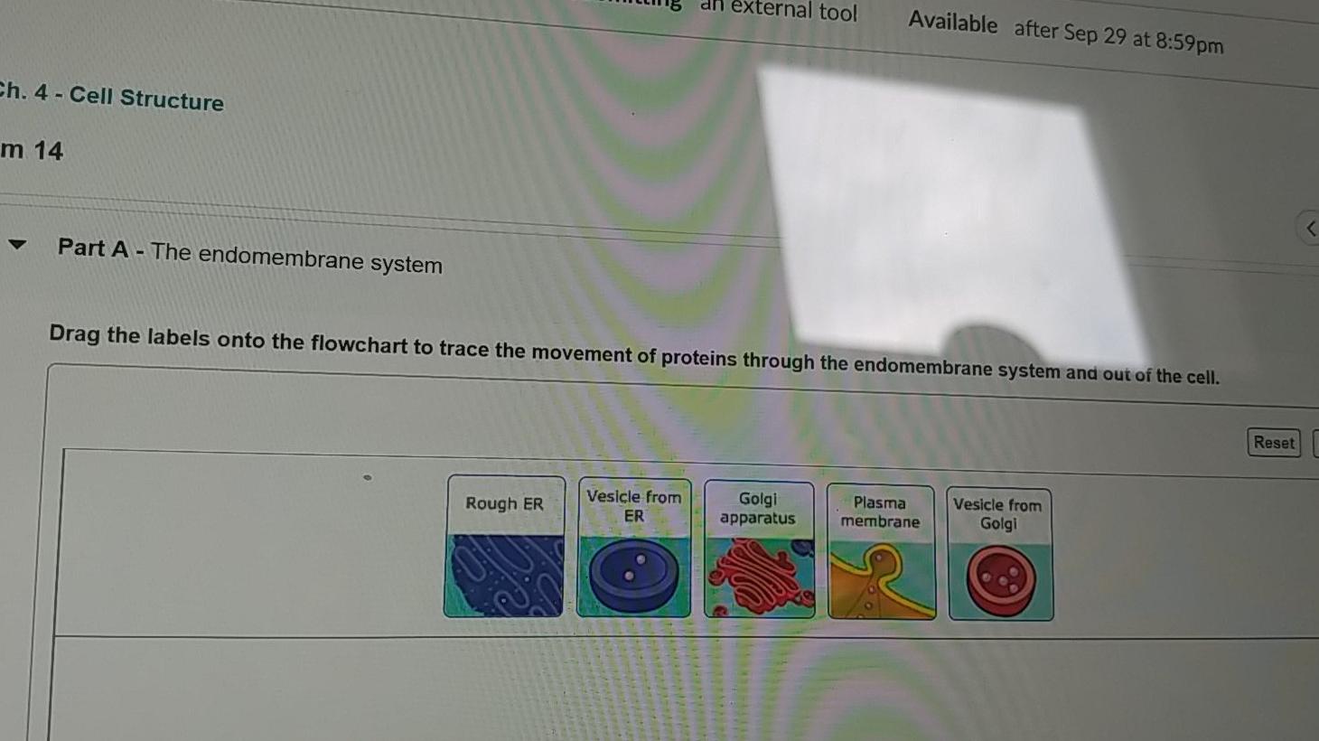 Solved external tool Available after Sep 29 at 8:59pm Ch. 4 | Chegg.com