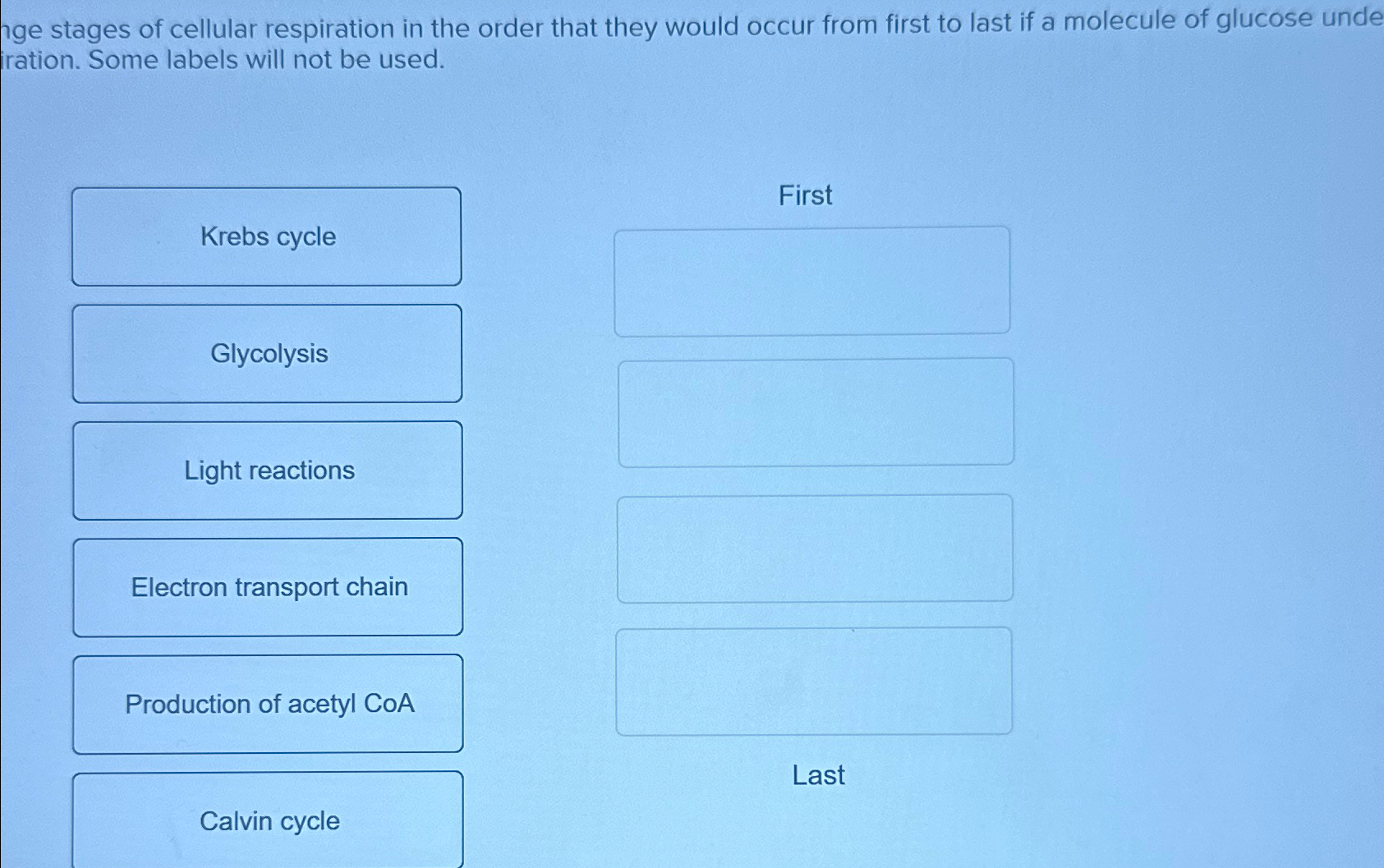 Solved ige stages of cellular respiration in the order that | Chegg.com