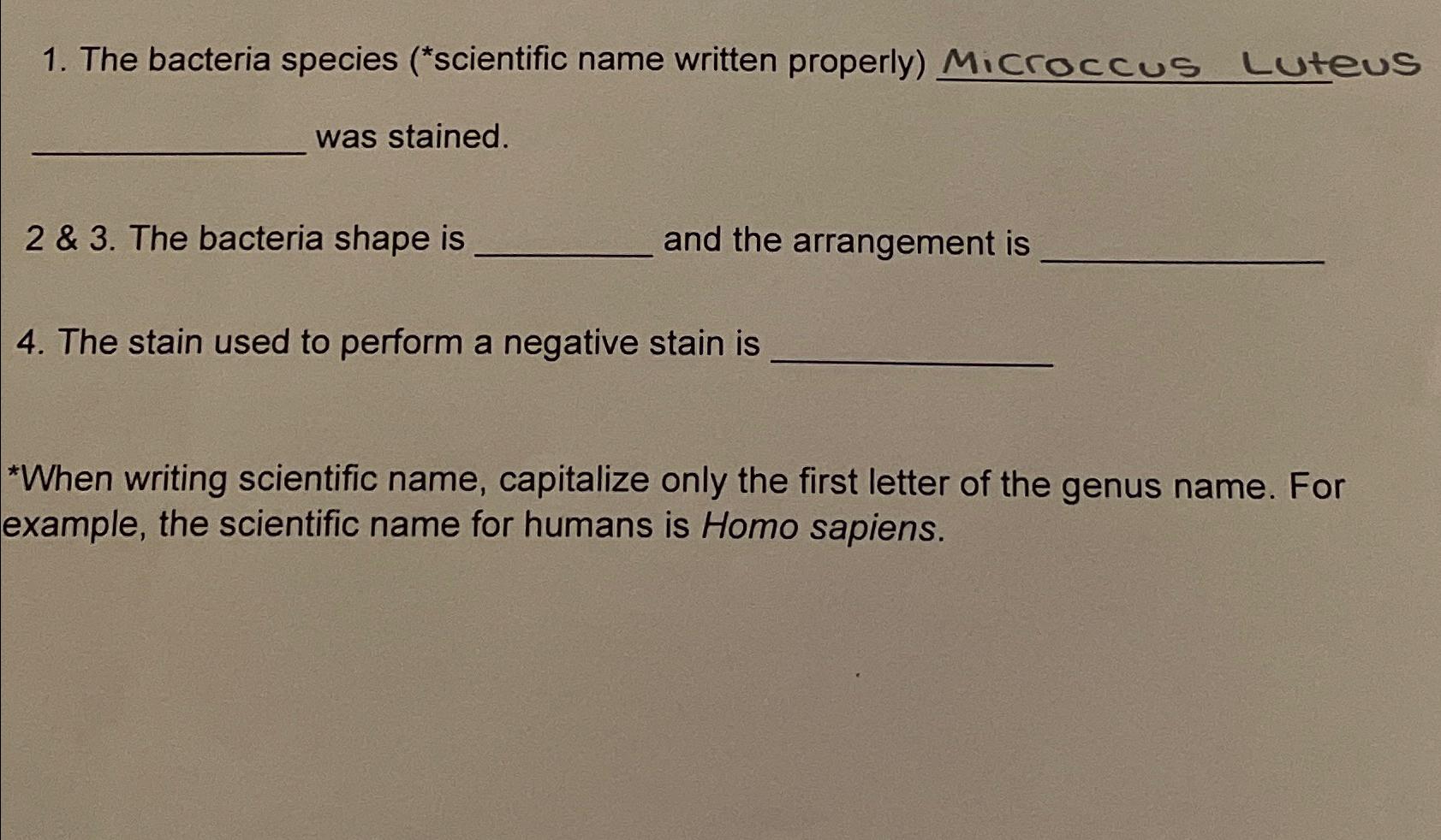 Solved The bacteria species (*scientific name written | Chegg.com