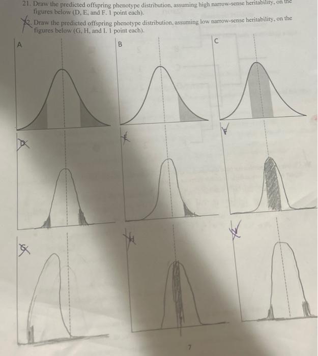 21. Draw the predicted offspring phenotype | Chegg.com