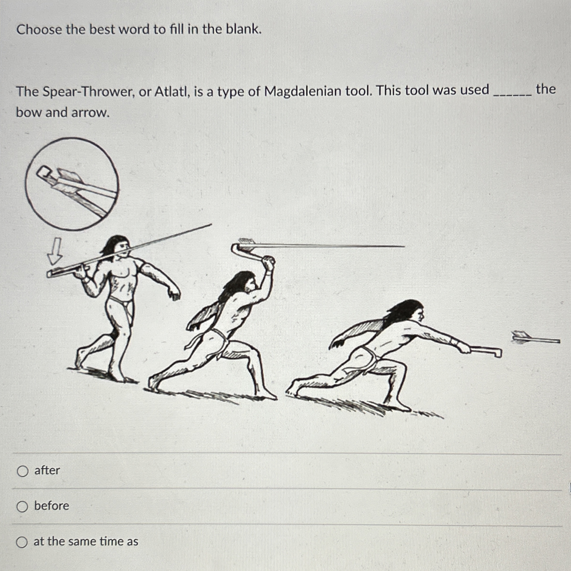 Solved Choose the best word to fill in the blank.The | Chegg.com