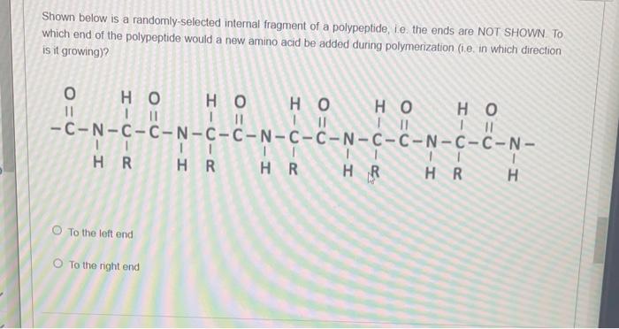 Solved Shown below is a randomly-selected internal fragment | Chegg.com