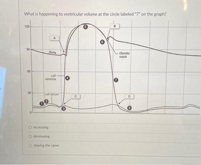Solved What is happening to ventricular volume at the circle | Chegg.com
