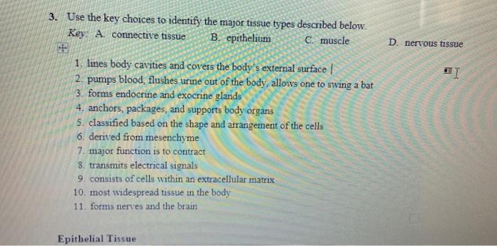 Solved 3. Use the key choices to identify the major tissue | Chegg.com