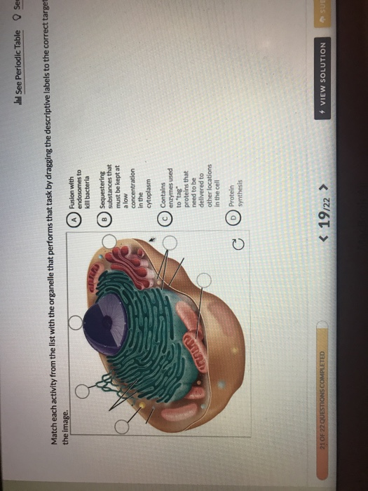Solved Il See Periodic Table O Sen Match each activity from | Chegg.com