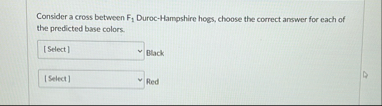 Solved Consider a cross between F1 ﻿Duroc-Hampshire hogs, | Chegg.com