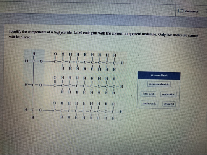 Solved Resources Identify the components of a triglyceride. | Chegg.com