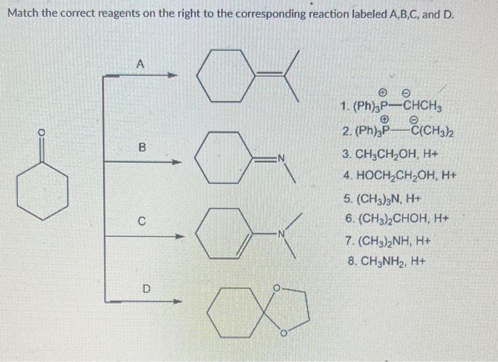 Solved Match the correct reagents on the right to the | Chegg.com
