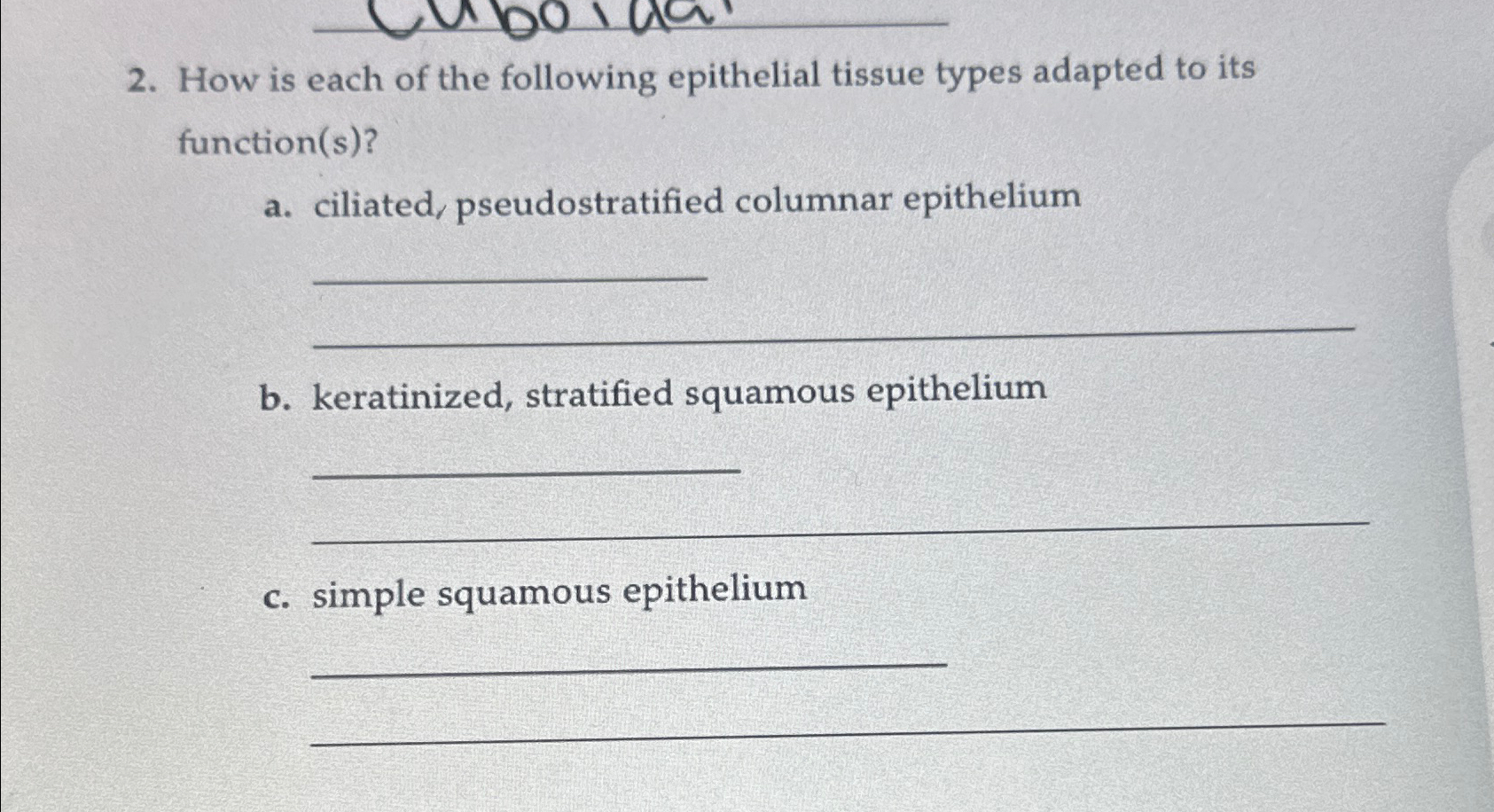 Solved How is each of the following epithelial tissue types | Chegg.com