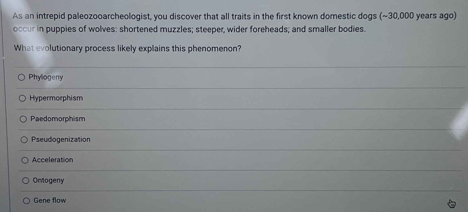 Solved As an intrepid paleozooarcheologist, you discover | Chegg.com