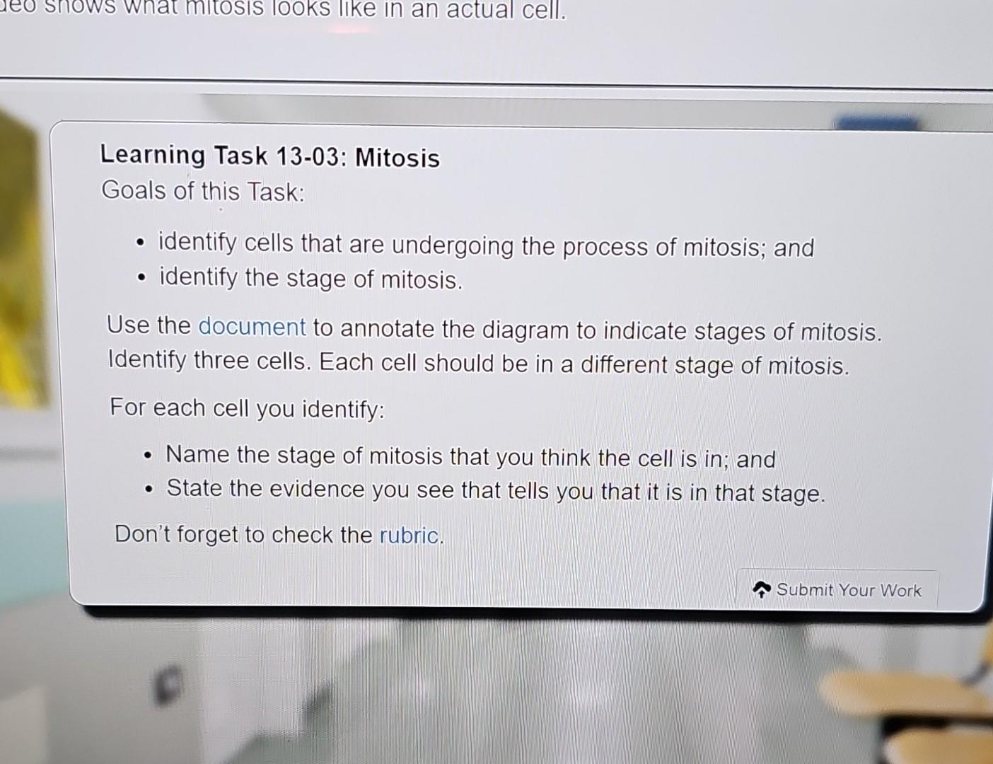 Solved Learning Task 13-03: Mitosis Goals of this Task: - | Chegg.com
