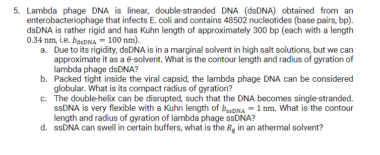 Solved Lambda phage DNA is linear, double-stranded DNA | Chegg.com