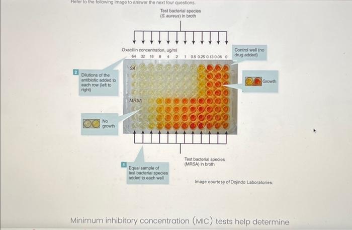 Solved Minimum inhibitory concentration (MIC) tests help | Chegg.com