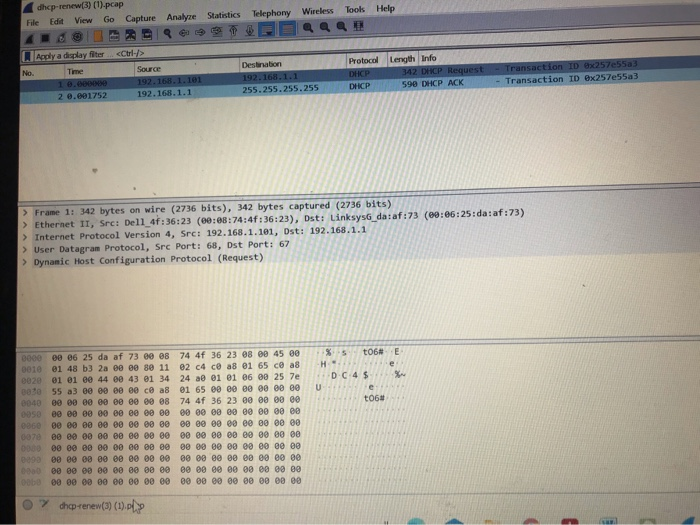 Solved PHCP Packet Analysis This exercise involves using | Chegg.com