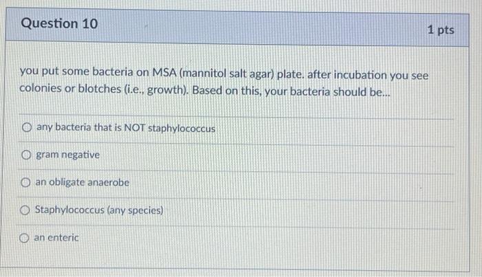 Solved Question 10 1 pts you put some bacteria on MSA | Chegg.com