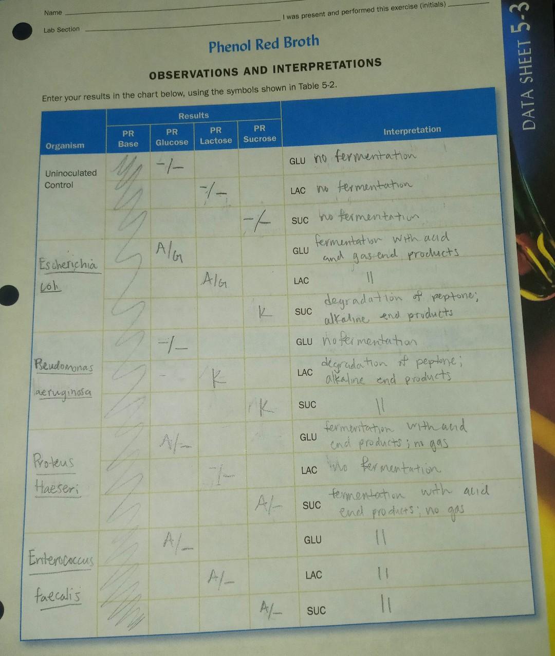 Solved OBSERVATIONS AND INTERPRETATIONS using the symbols | Chegg.com
