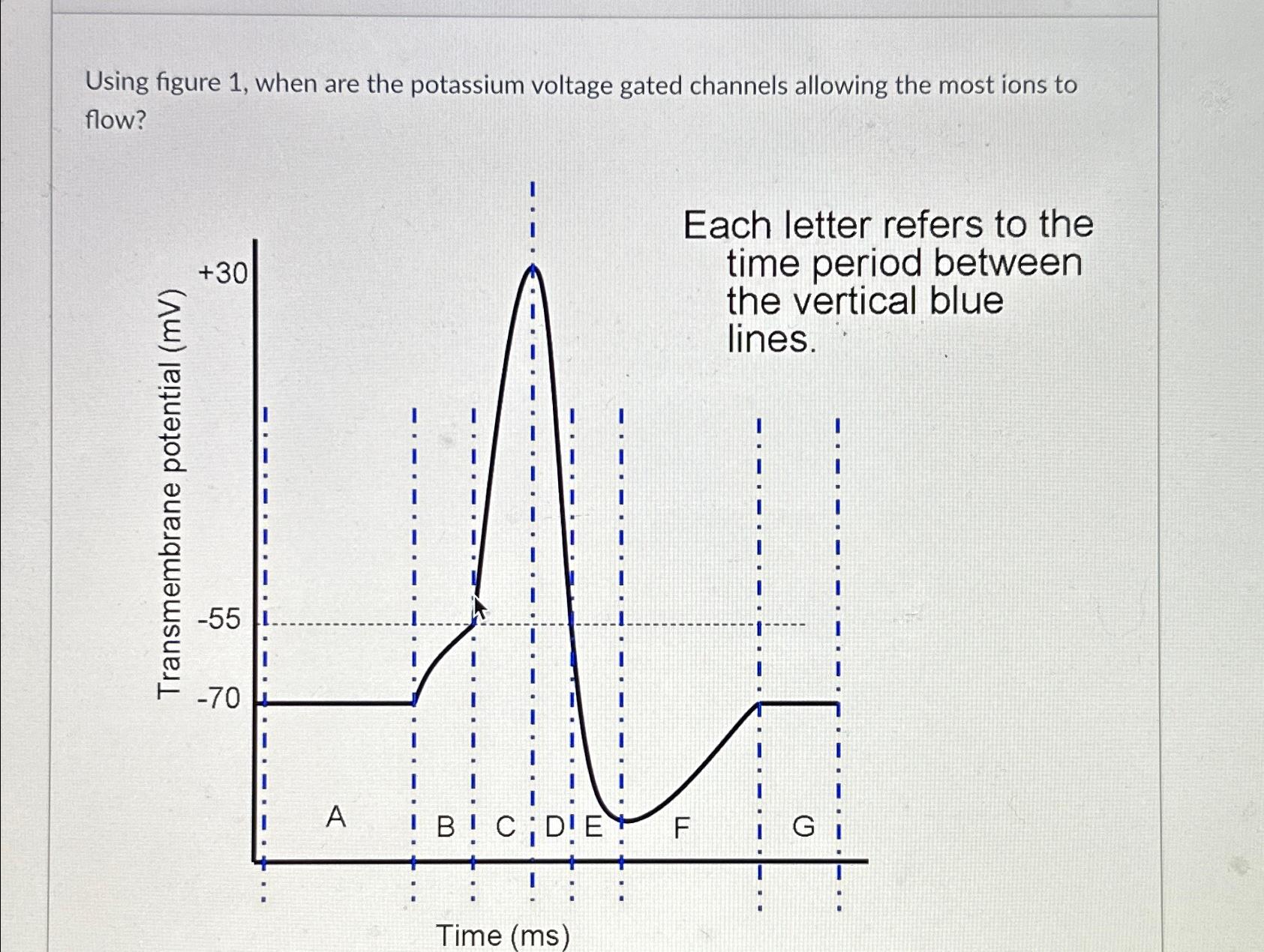 Solved Using figure 1, ﻿when are the potassium voltage gated | Chegg.com