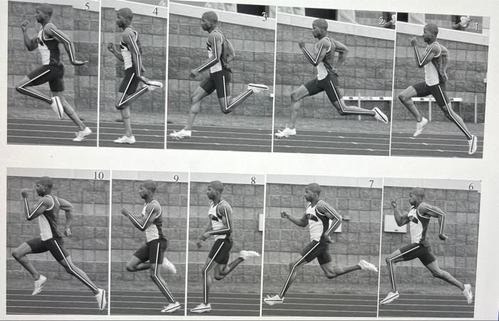 10 SPRINTING (continued) Joint Joint Frames Action | Chegg.com