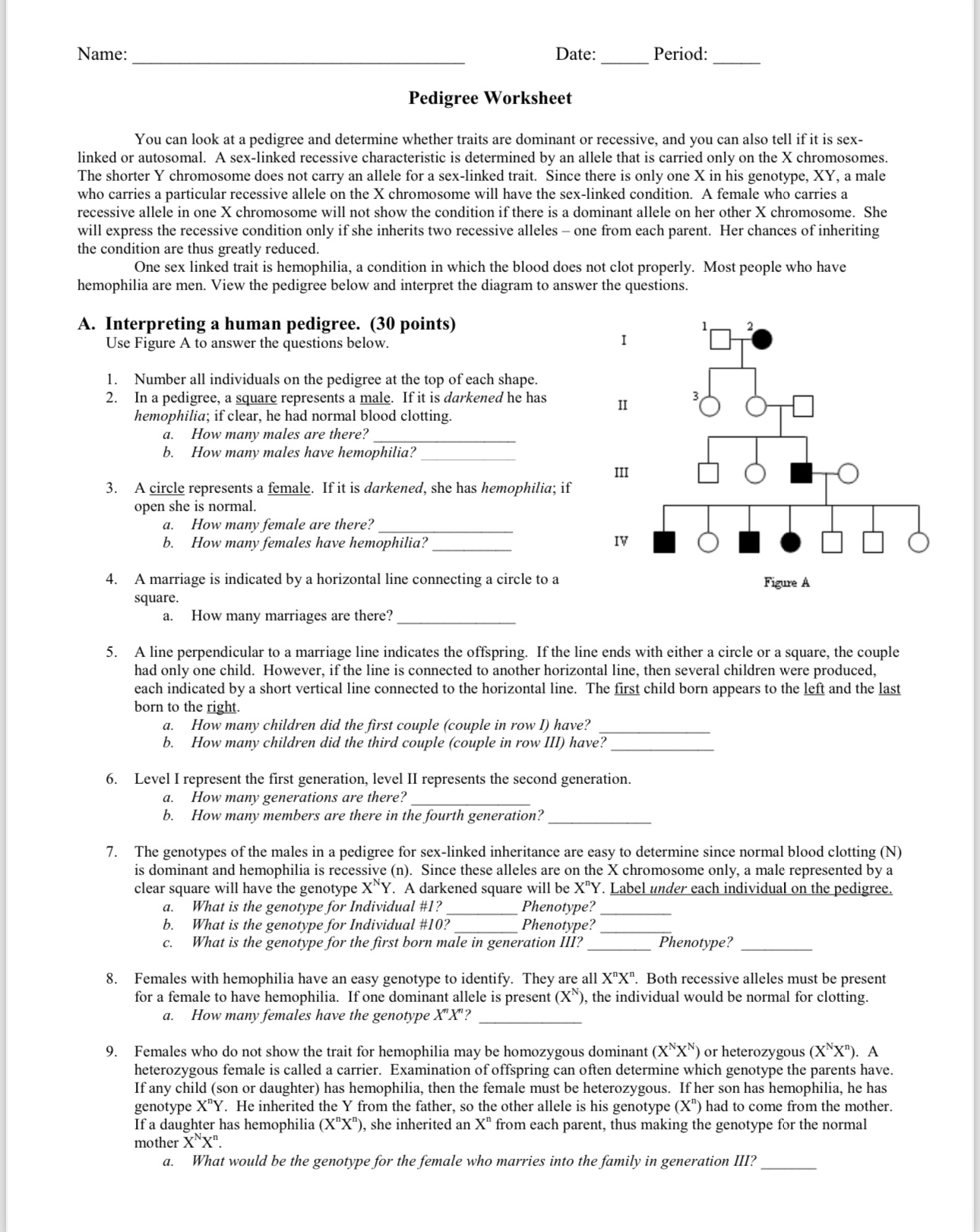 Solved Name:Date: , ﻿Period:Pedigree WorksheetYou can look | Chegg.com