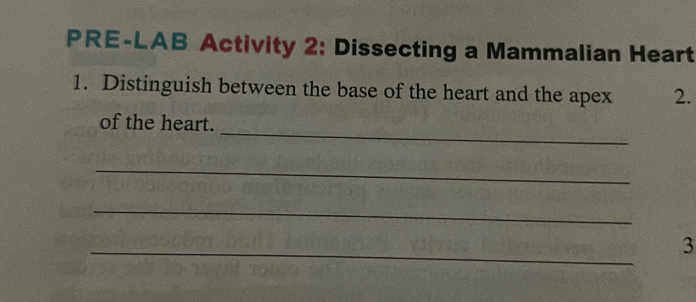 Solved PRE-LAB Activity 2: Dissecting a Mammalian | Chegg.com Solved PRE-LAB Activity 2: Dissecting a Mammalian | Chegg.com