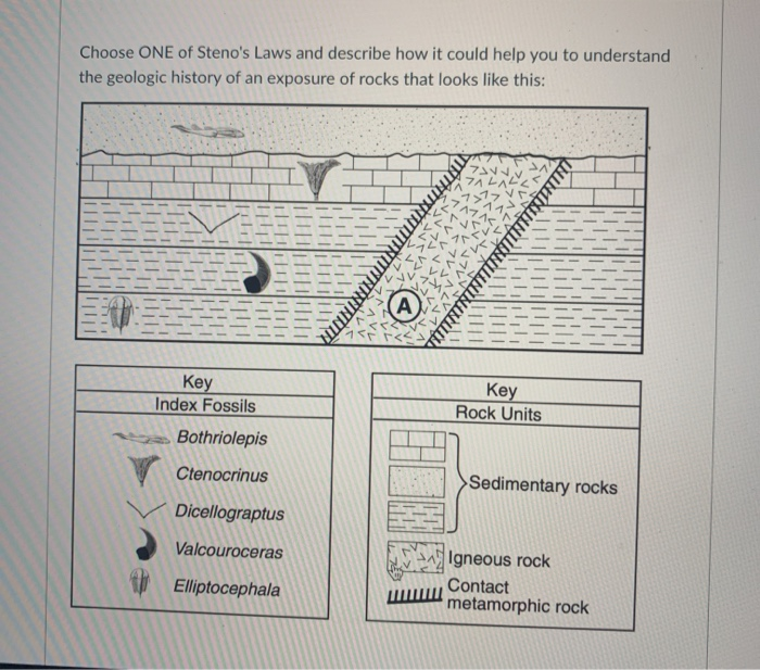 Solved Choose ONE of Steno's Laws and describe how it could | Chegg.com
