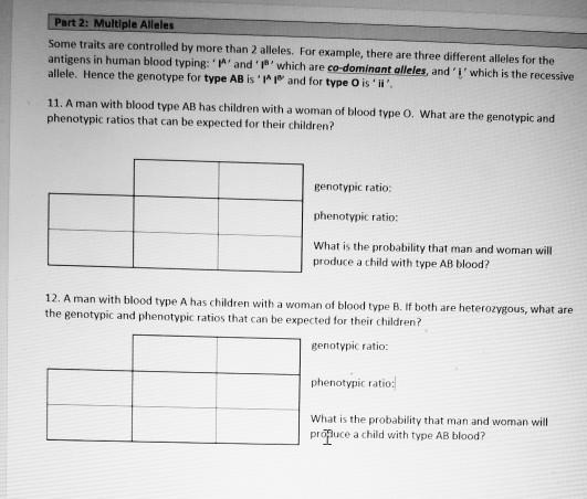 Solved Part 2: Multiple Alleles Some traits are controlled | Chegg.com
