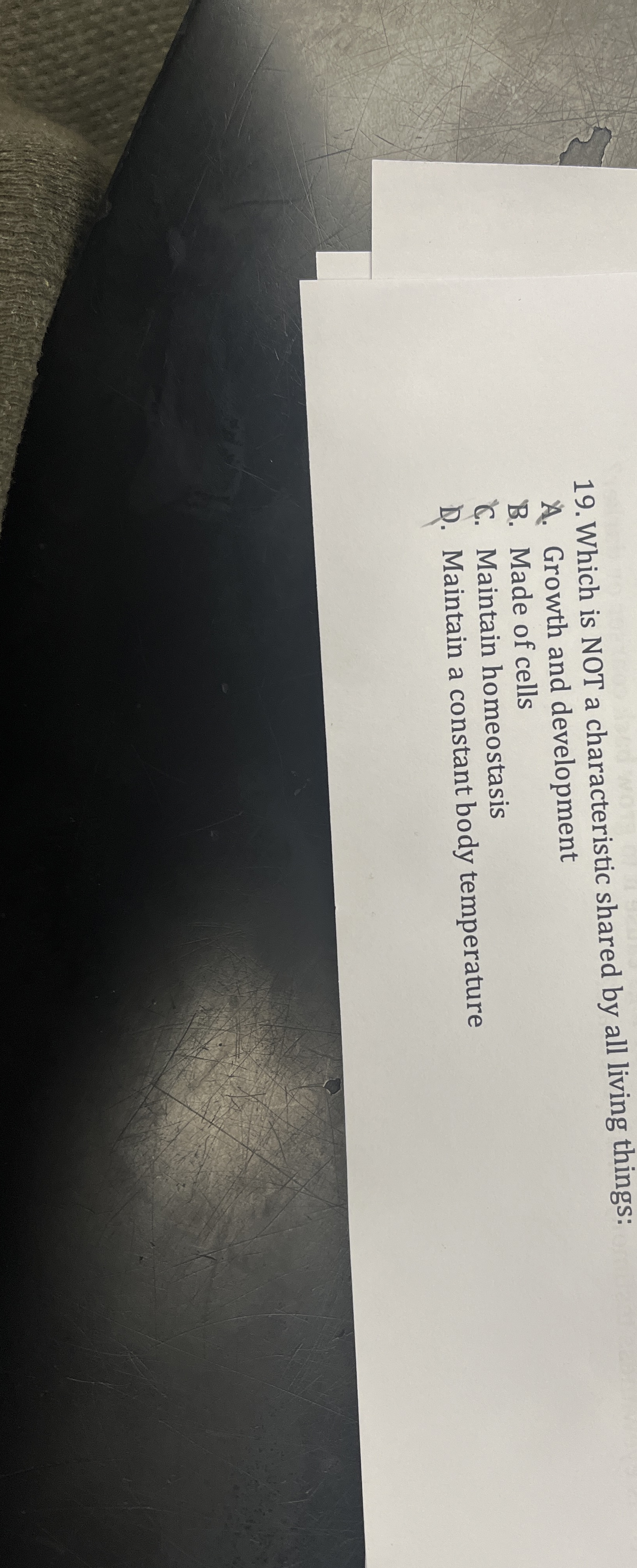 Solved Which is NOT a characteristic shared by all living | Chegg.com