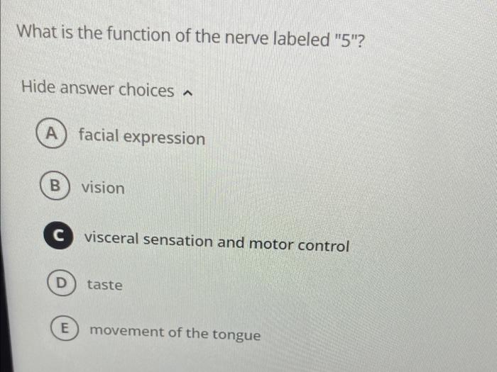 Solved 10 11 3 12 13 5 14 Figure 13-2 What is the function | Chegg.com