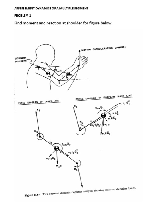 Solved ASSESSSMENT DYNAMICS OF A MULTIPLE SEGMENT PROBLEM 1 | Chegg.com