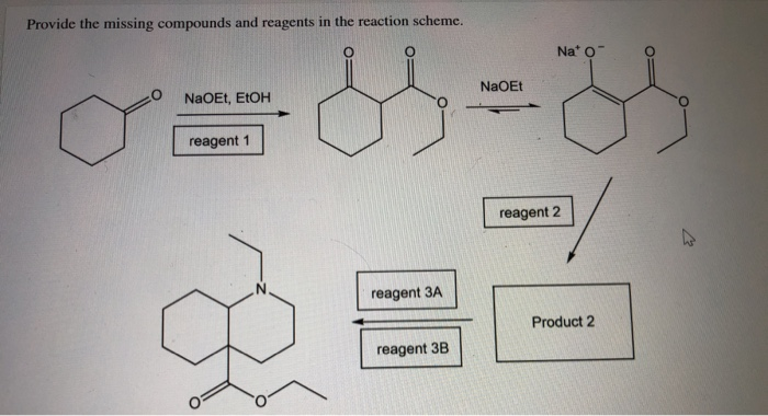 Solved Provide the missing compounds and reagents in the | Chegg.com