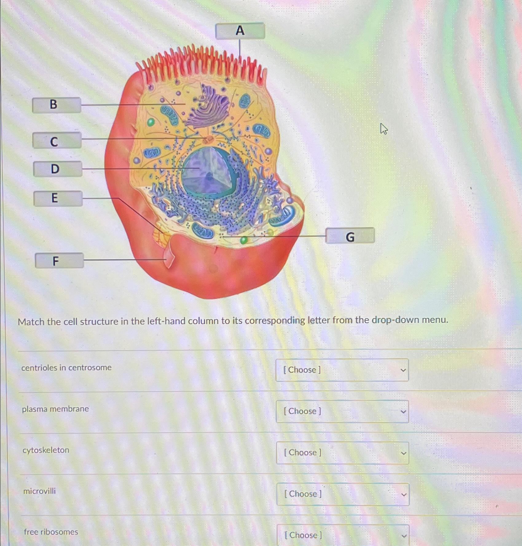 Solved Match the cell structure in the left-hand column to | Chegg.com