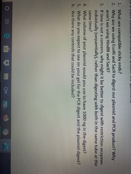 Solved LIG 1. What are compatible sticky ends? 2. Why are we | Chegg.com