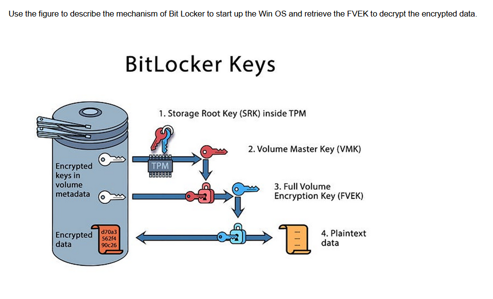 Solved Use the figure to describe the mechanism of Bit | Chegg.com