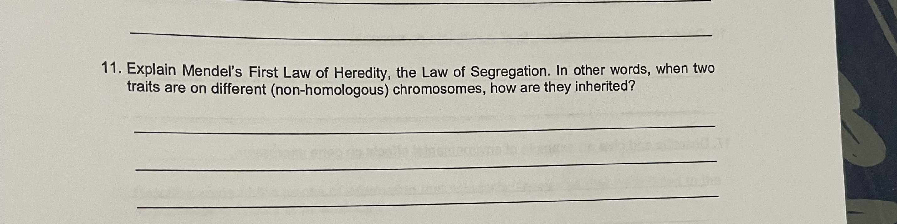 Solved Explain Mendel's First Law of Heredity, the Law of | Chegg.com Solved Explain Mendel's First Law of Heredity, the Law of | Chegg.com