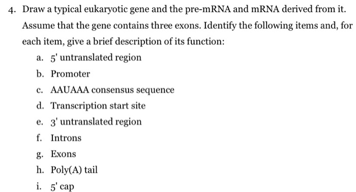 Solved 4. Draw a typical eukaryotic gene and the pre-mRNA | Chegg.com