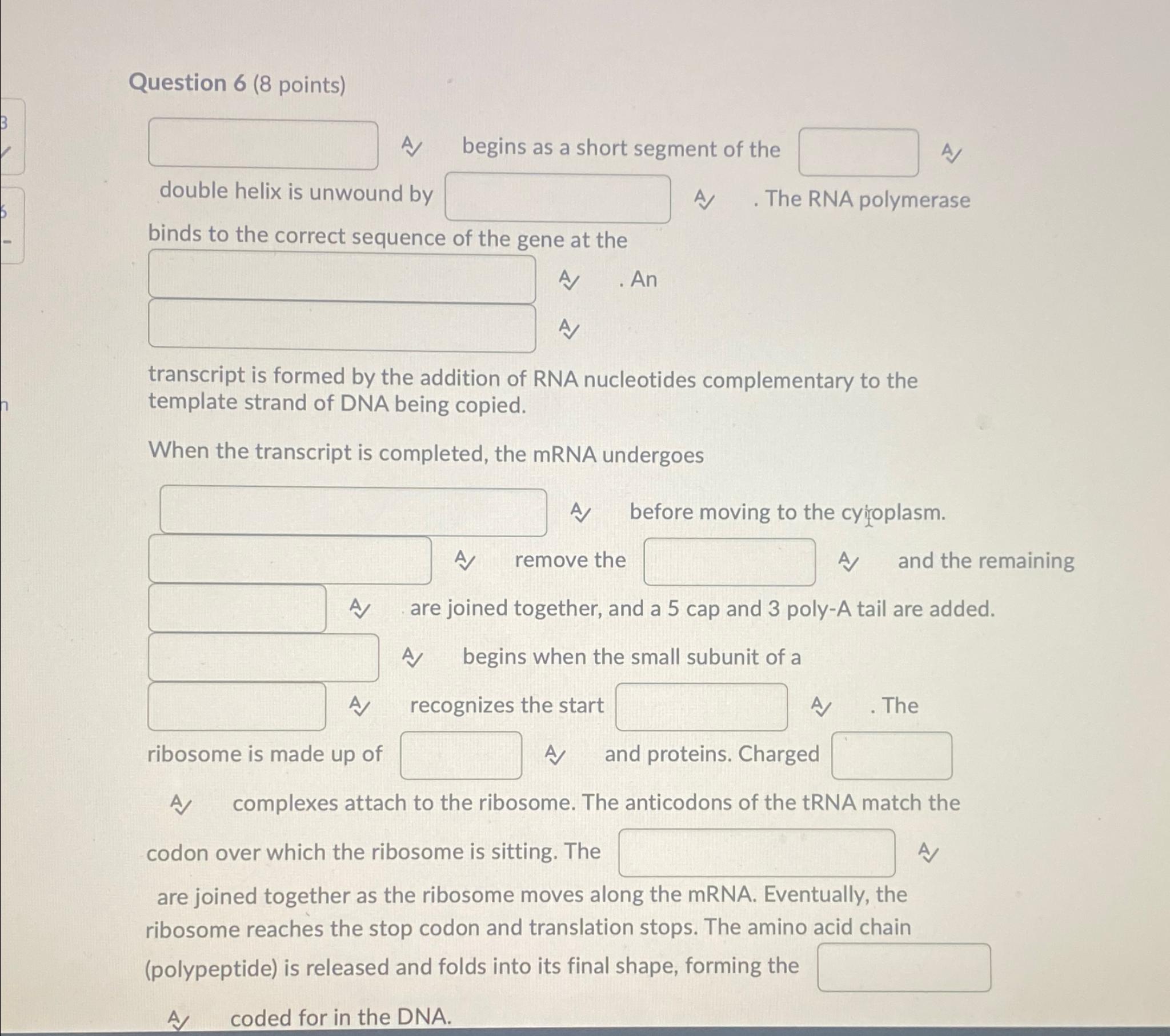 Solved Question 6 (8 ﻿points)A begins as a short segment of | Chegg.com