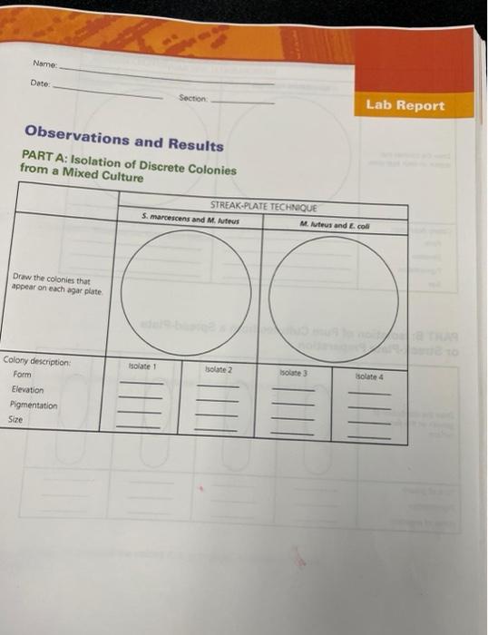 Solved Observations and Results PART A: Isolation of | Chegg.com