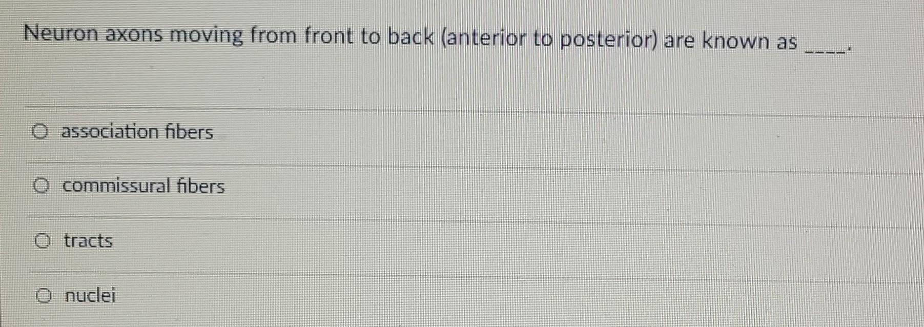 Solved Neuron axons moving from front to back (anterior to | Chegg.com