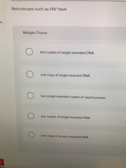 Solved Retroviruses such as HIV have o two copies of | Chegg.com