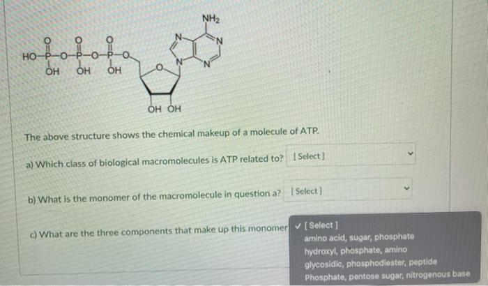 Solved ŅH2 N HO OH OH OH od OH OH The above structure shows | Chegg.com