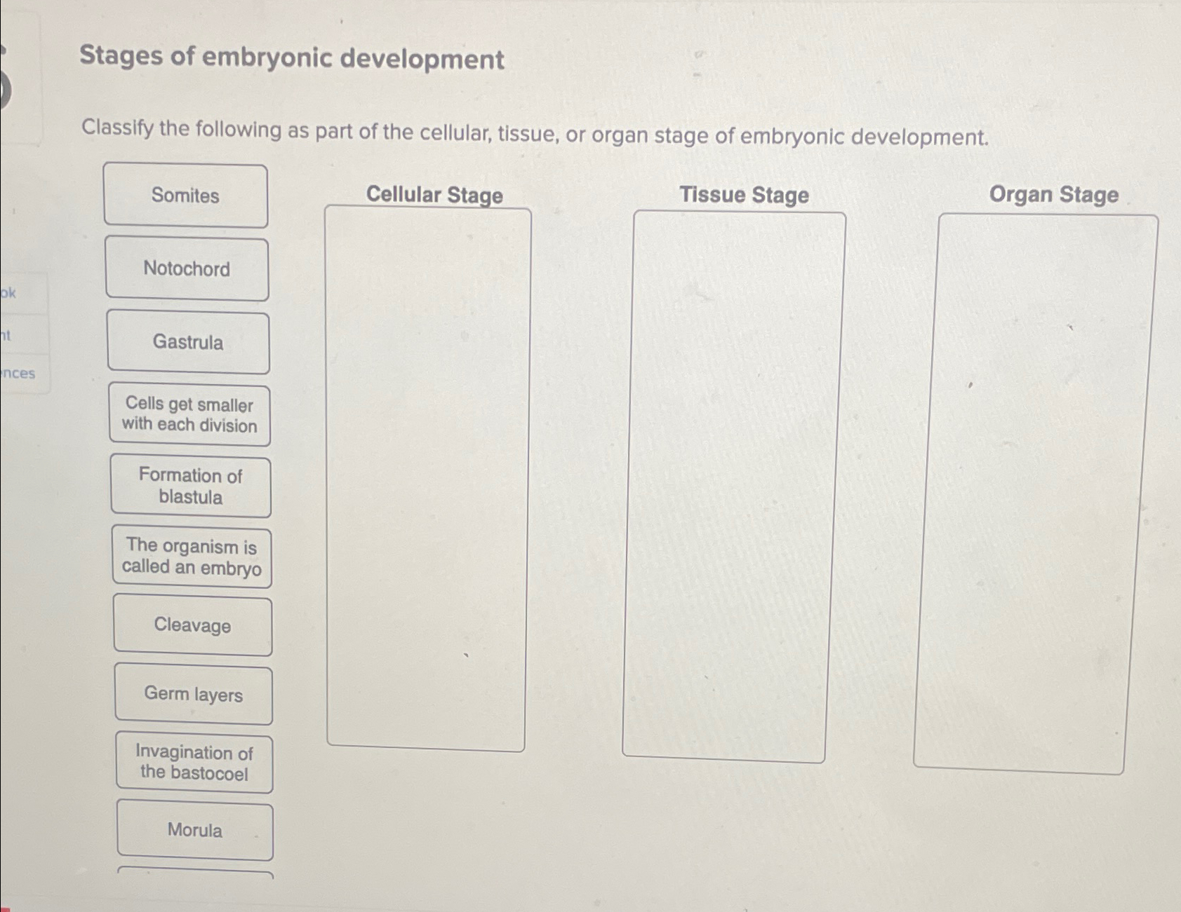 Solved Stages of embryonic developmentClassify the following | Chegg.com