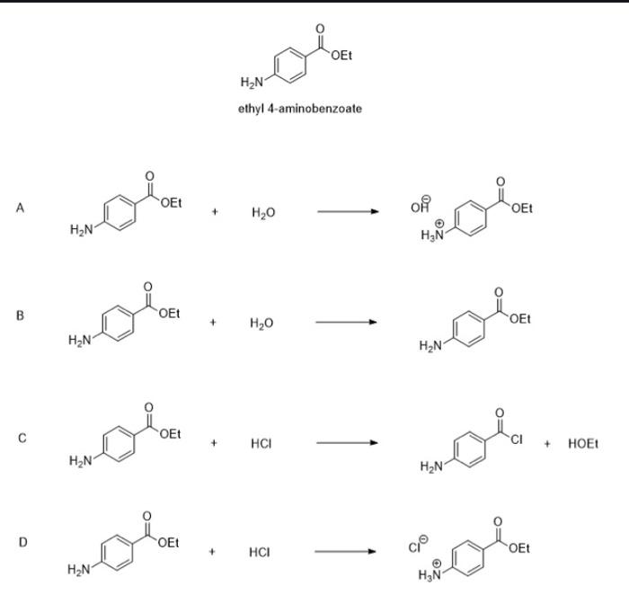 Solved ethyl 4-aminobenzoate +H2O +H2O +HCl +HCl Choose | Chegg.com