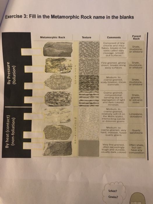 Solved Exercise 3: Fill in the Metamorphic Rock name in the | Chegg.com