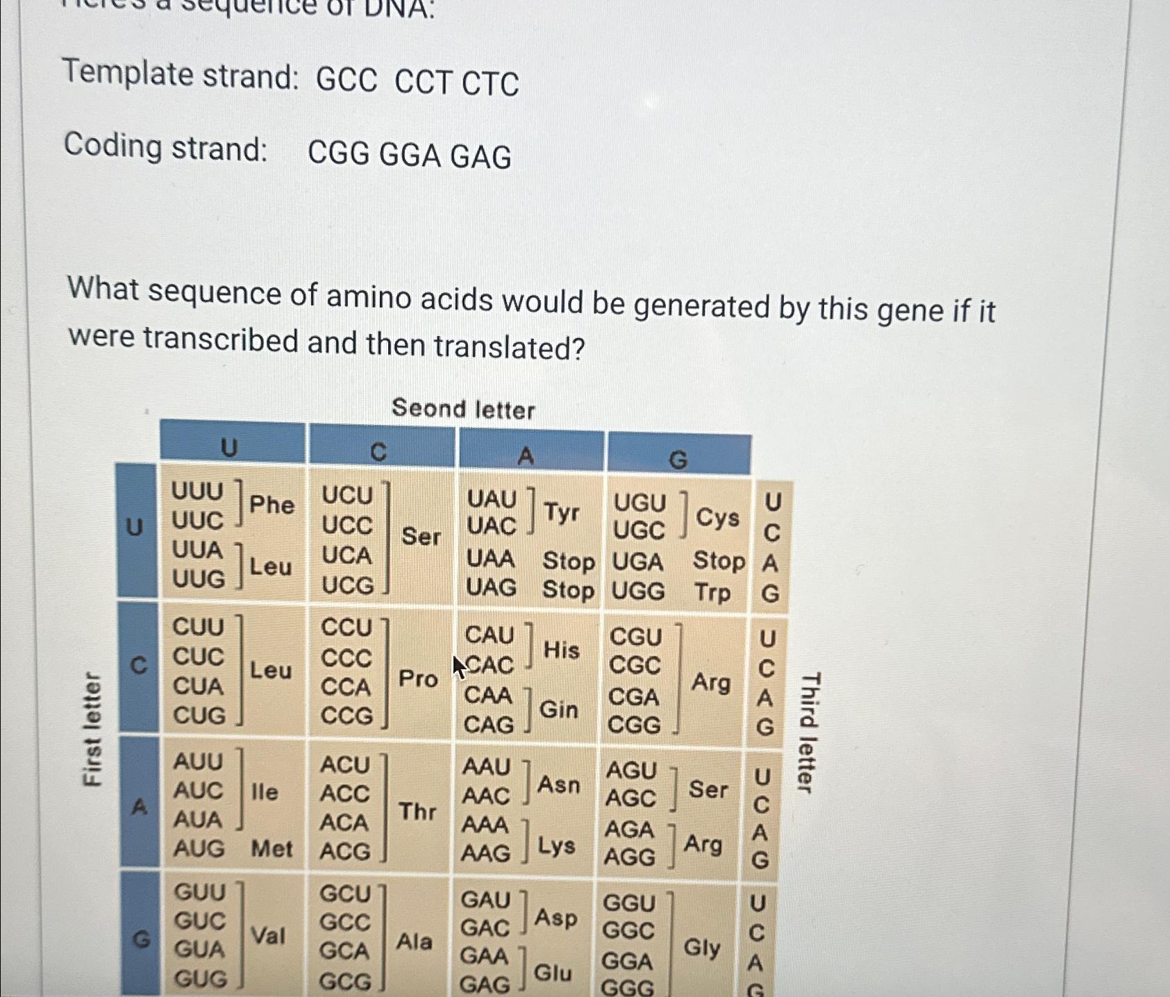 Solved Template strand: GCC CCT CTCCoding strand: CGG GGA | Chegg.com
