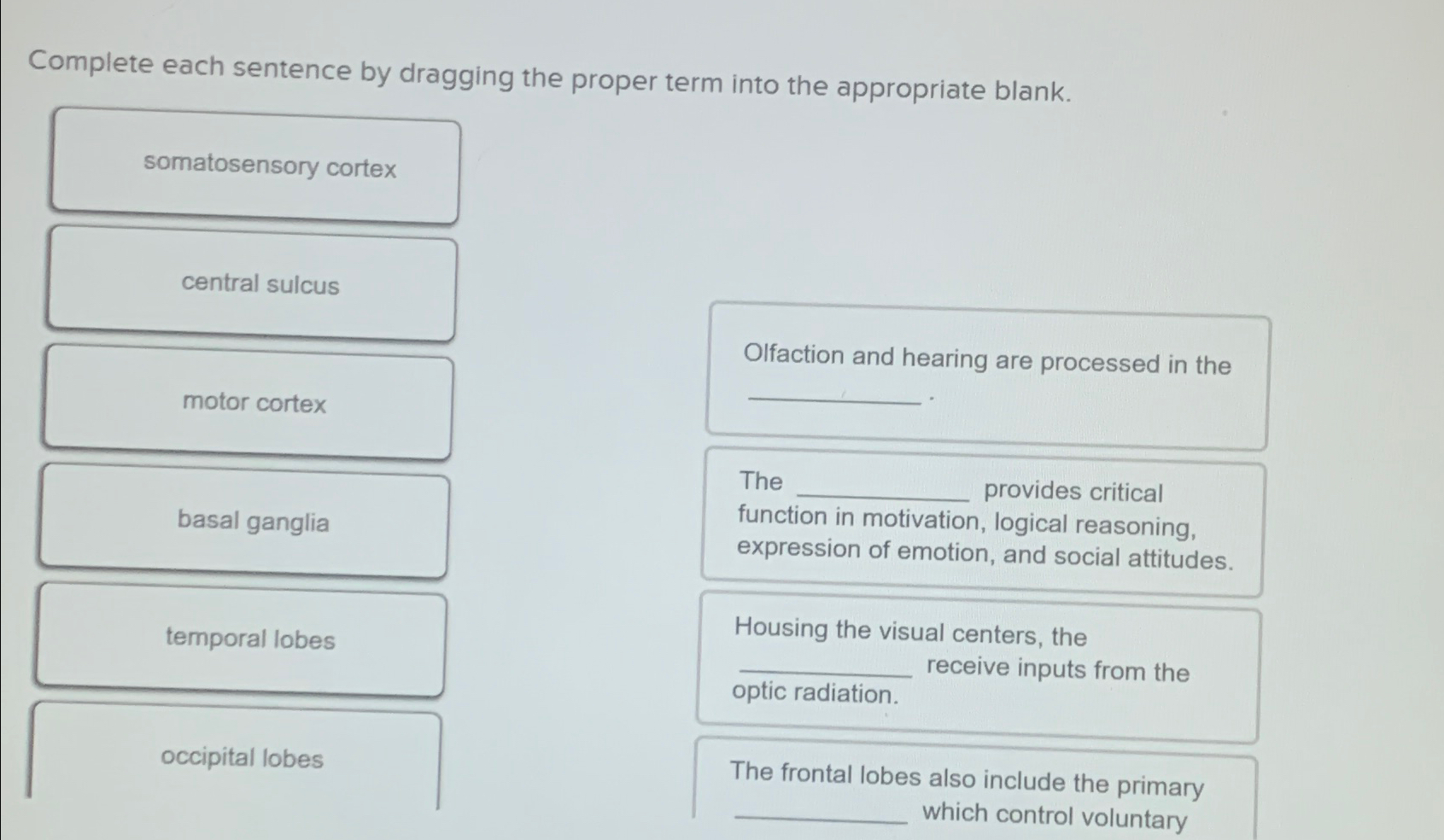 Solved Complete each sentence by dragging the proper term | Chegg.com