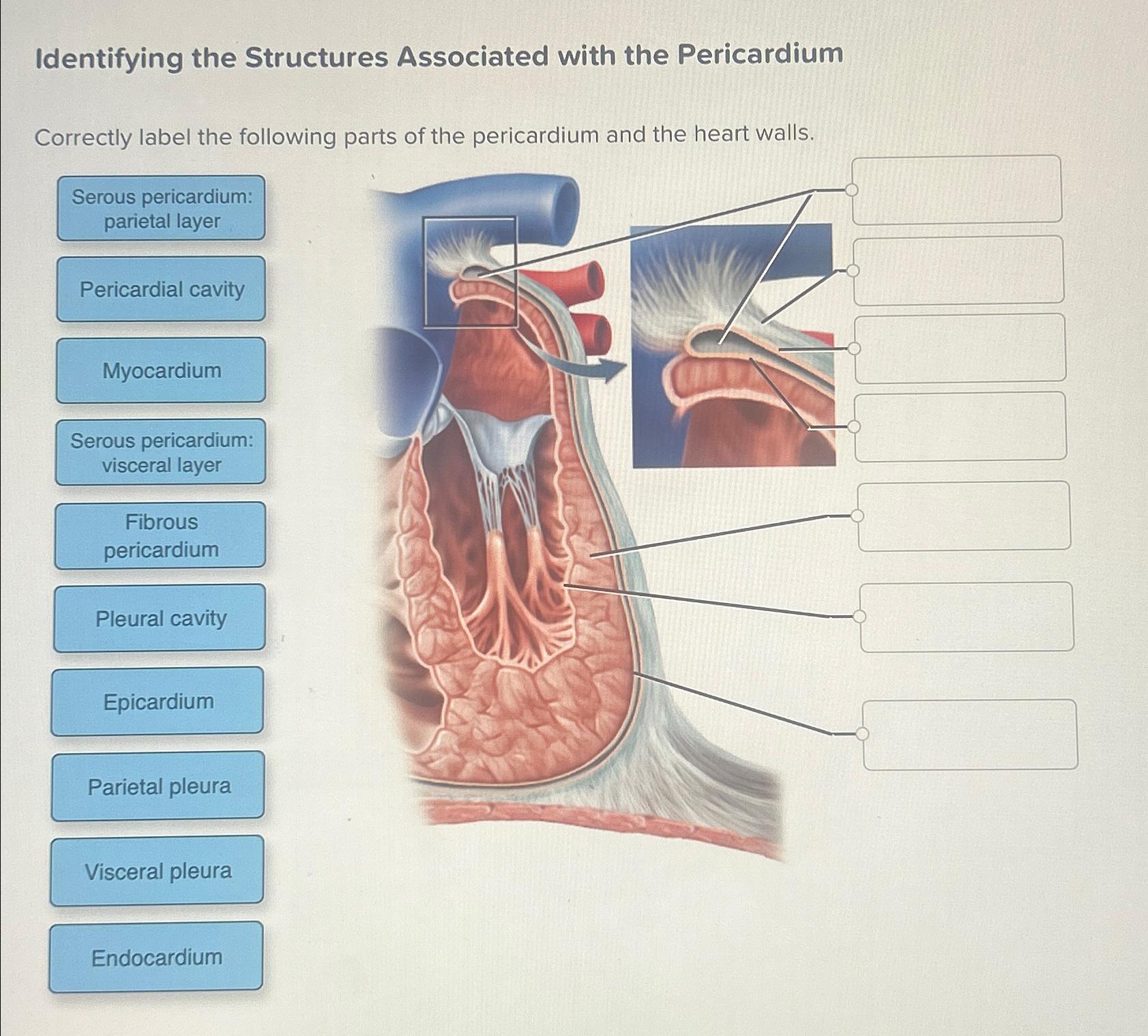 Solved Identifying the Structures Associated with the | Chegg.com