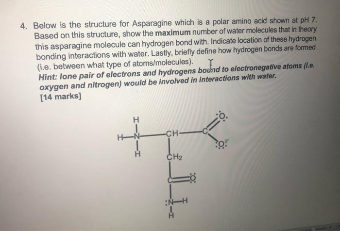 Solved 4. Below is the structure for Asparagine which is a | Chegg.com
