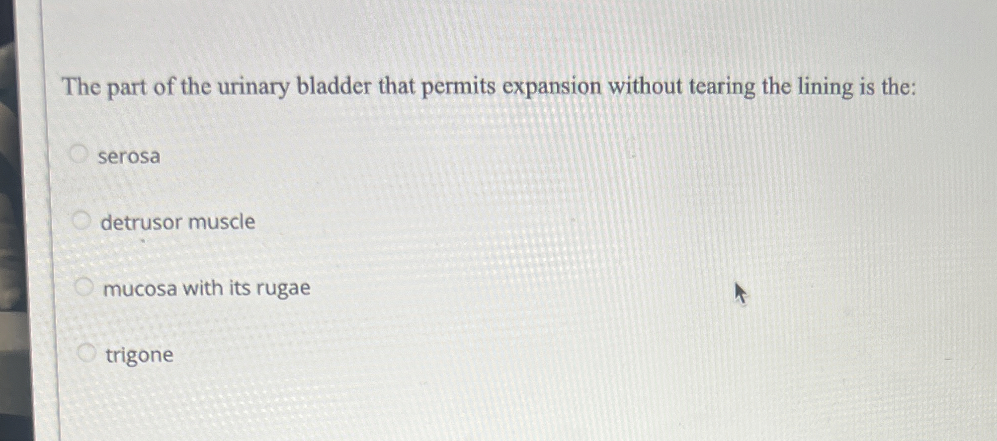 Solved The part of the urinary bladder that permits | Chegg.com