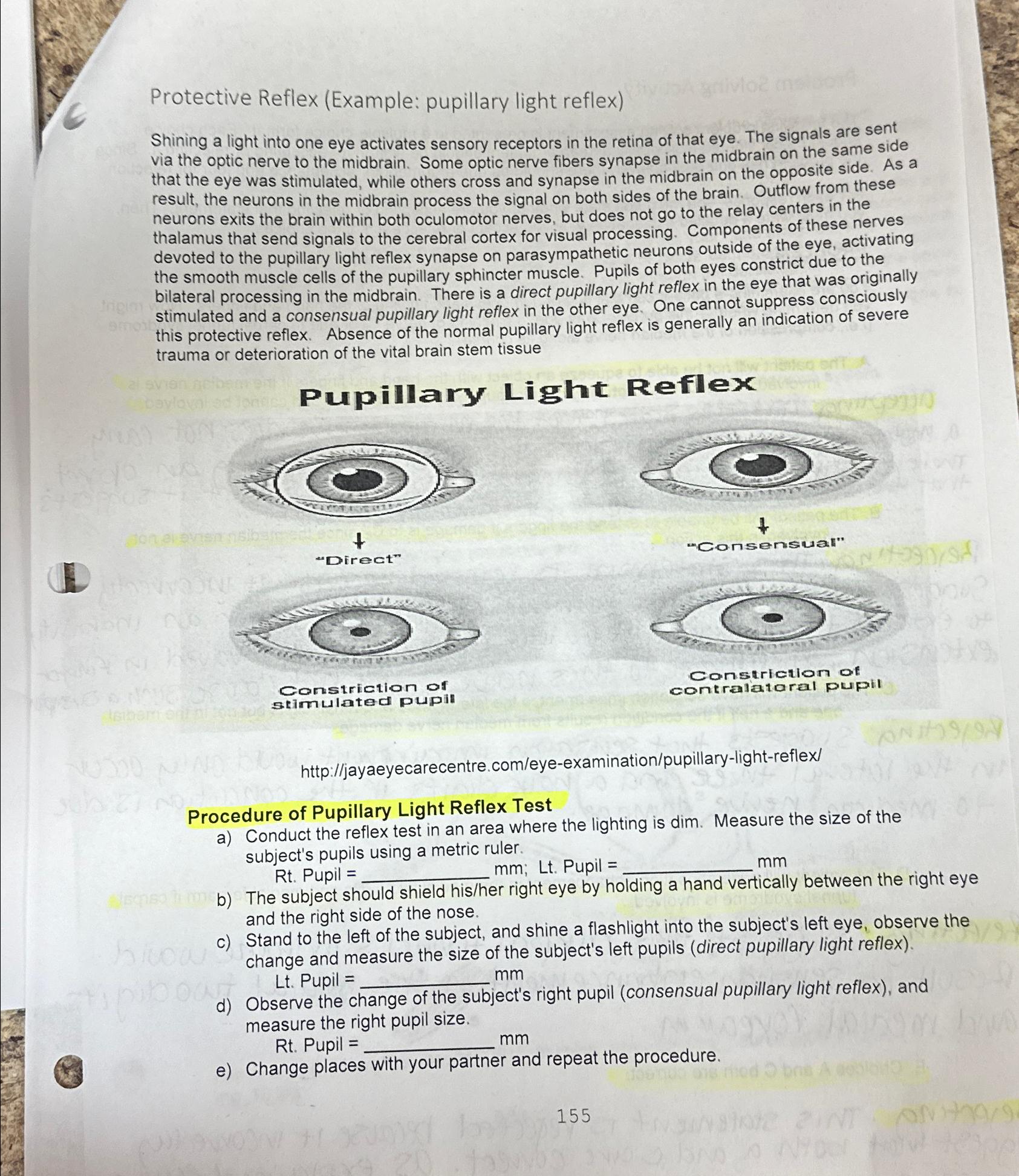 Solved Protective Reflex (Example: pupillary light | Chegg.com